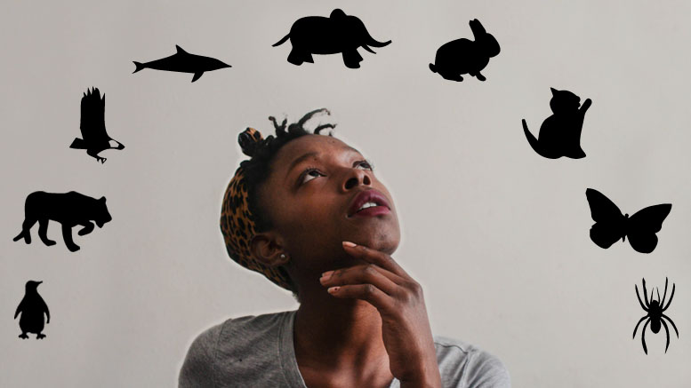 Local church offers fun “ash animal” designs to spur Ash Wednesday ...